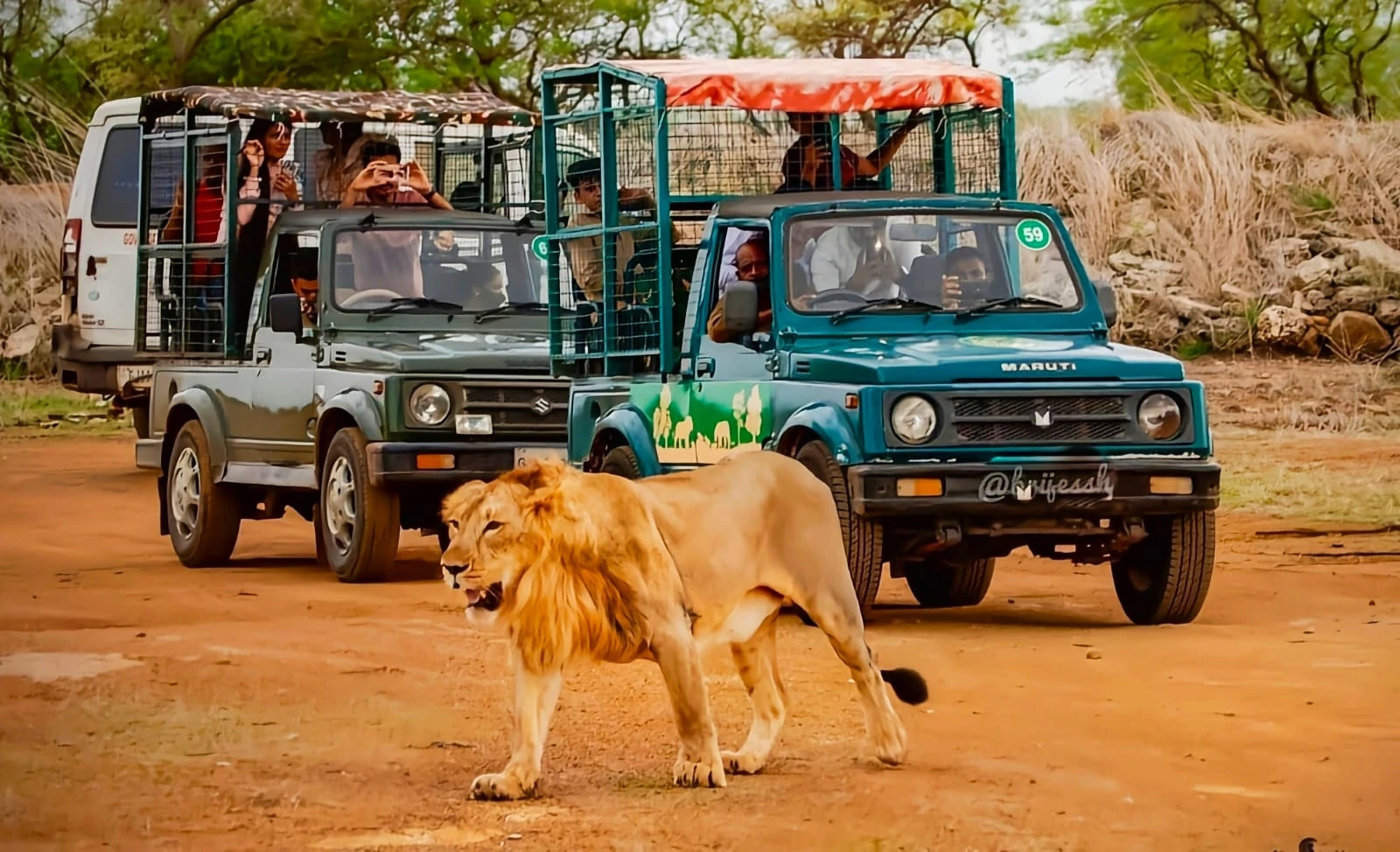 Devaliya Park Jeep Safari - Gir Devaliya Safari